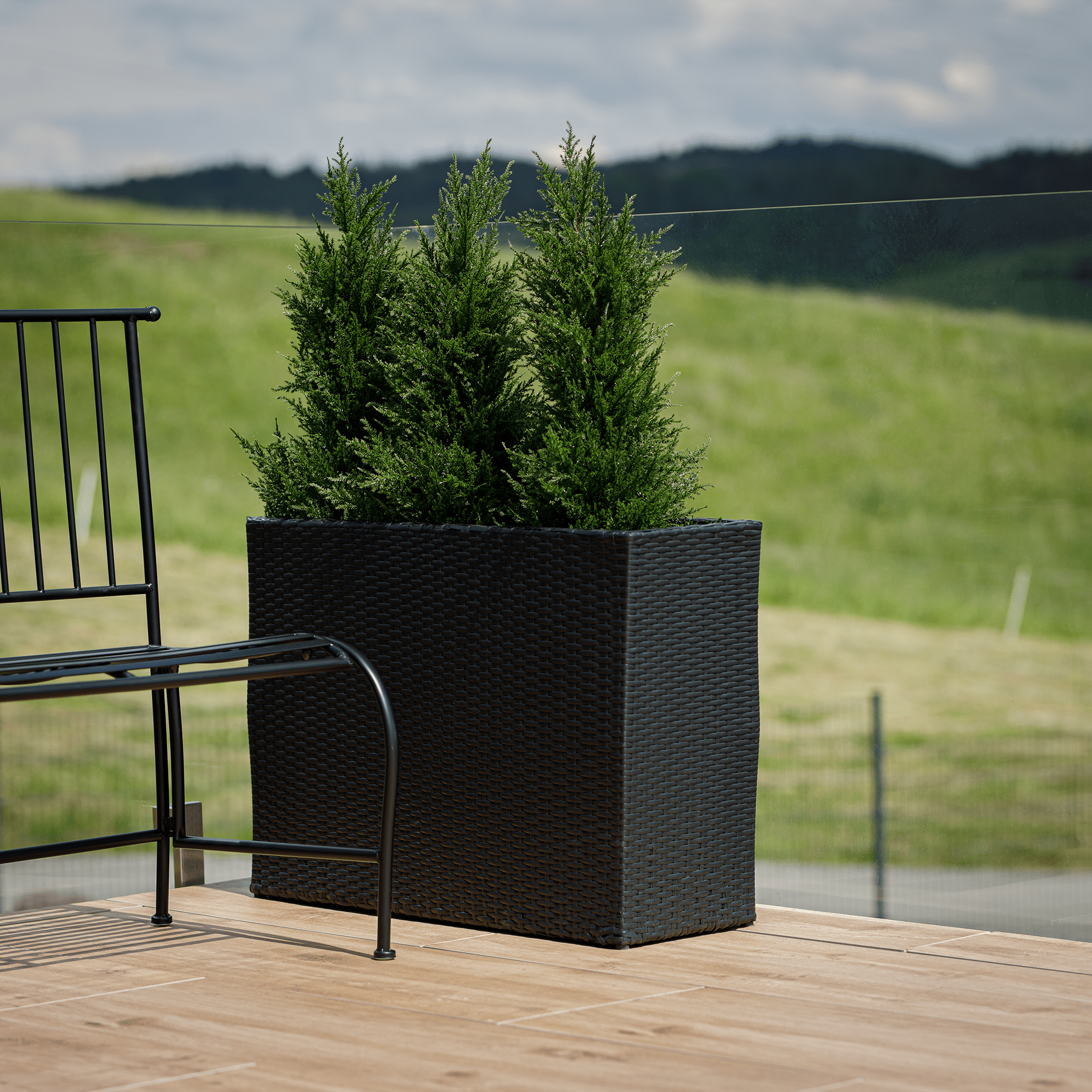 Rattan virágcserép Rams, fekete | Kondela.hu