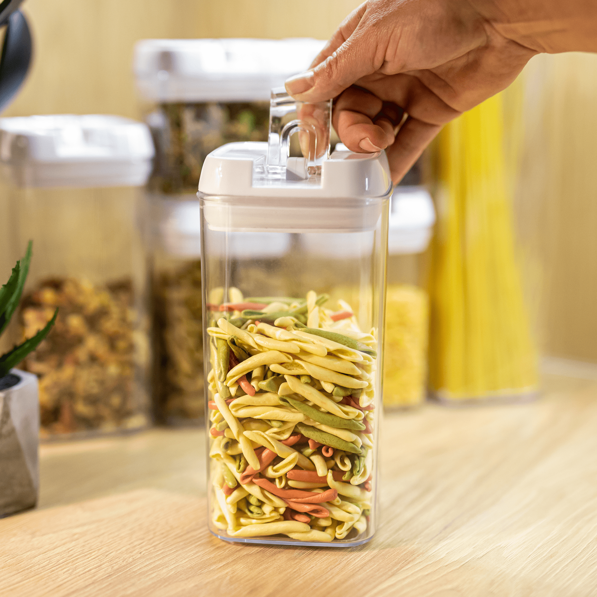 Borcane din material plastic cu capac, Harlem set de 7 | Kondela.ro